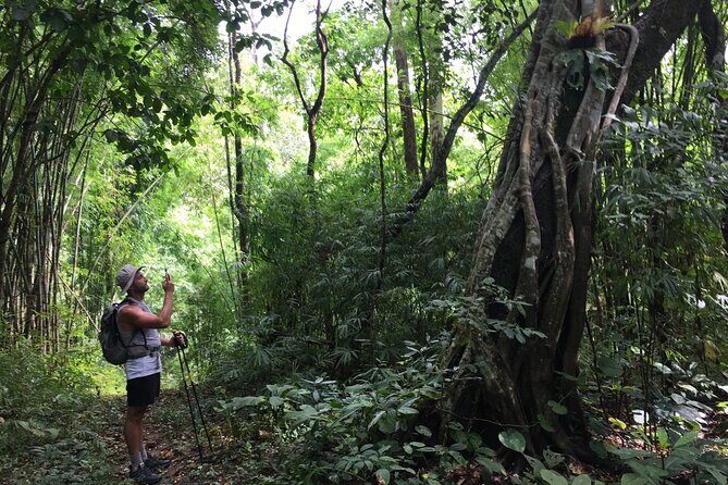 No.1 Chiang Mai: Mon Long Peak Climb & Downhill Bike Ride - Not Included but Available for Rent