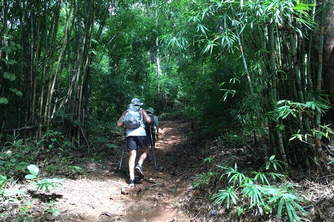 No.1 Chiang Mai: Mon Long Peak Climb & Downhill Bike Ride - Practical Tips and Considerations