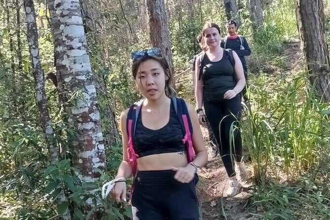 "No.1 Chiang Mai: Suthep N. Park Leisure walks & Mountain Biking" - The Sum Up