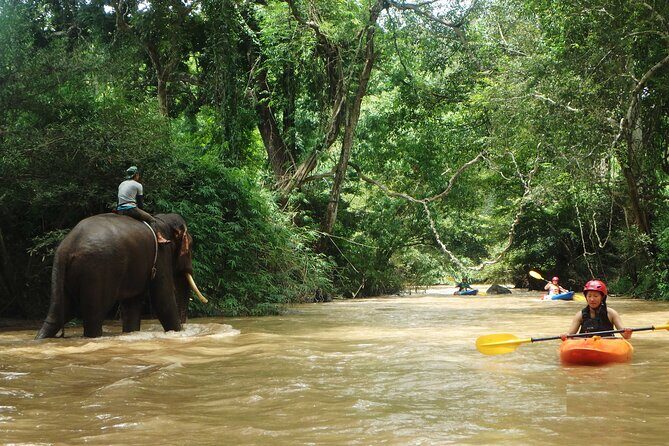 No.1 Chiang Mai : White Water Kayaking: Mae Wang Jungle River - Who Should Consider This Tour?