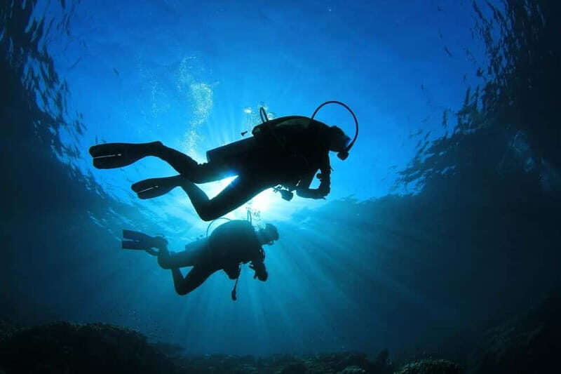 No Experience Needed-Discover Scuba Diving with Pickup - Key Points