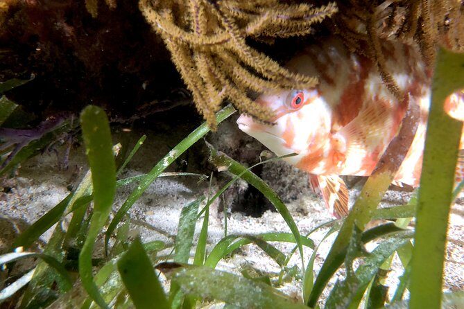No Experience Required to Discover Scuba in Florida - Frequently Asked Questions (FAQs)