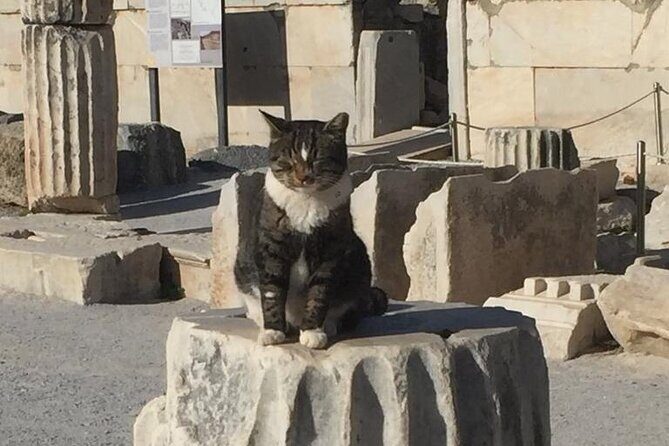 NO HIDDEN FEES Private Ephesus with skip the line tickets - What Travelers Say