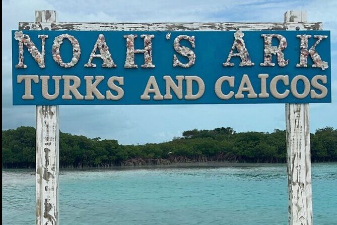 Noahs Ark Catamaran Trip - The Experience: What to Expect and What It Means for You