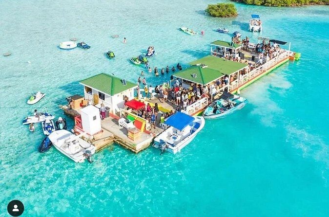 Noahs Ark Catamaran Trip - Who Should Consider This Tour?