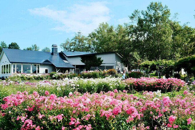 Noboribetsu and Toyako Wonders Hot Springs Farms and Scenic Spots - An In-Depth Look at the Tour Experience