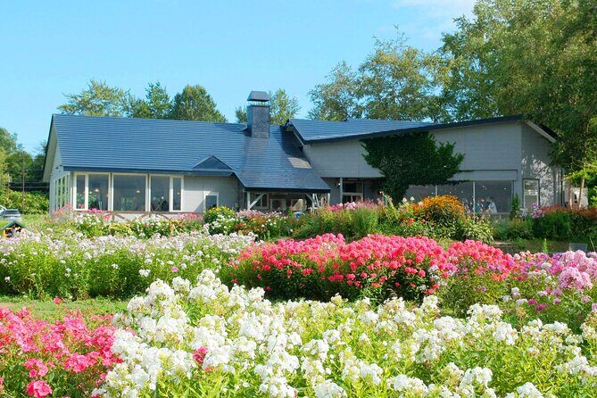 Noboribetsu and Toyako Wonders Hot Springs Farms and Scenic Spots - Final Thoughts