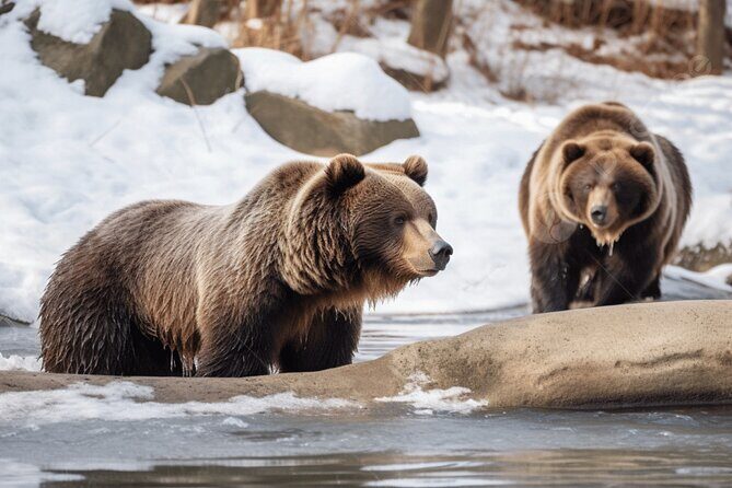 Noboribetsu Bear Park Admission Ticket | Hokkaido - Key Points