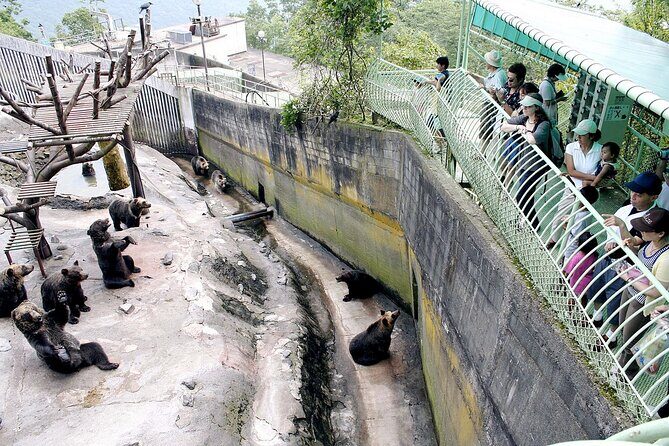 Noboribetsu Bear Park Admission Ticket | Hokkaido - The Value of the Experience