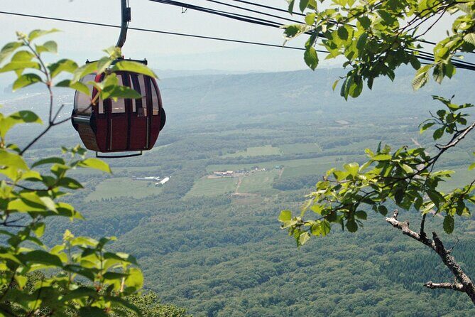 Noboribetsu Bear Park Admission Ticket | Hokkaido - Final Words