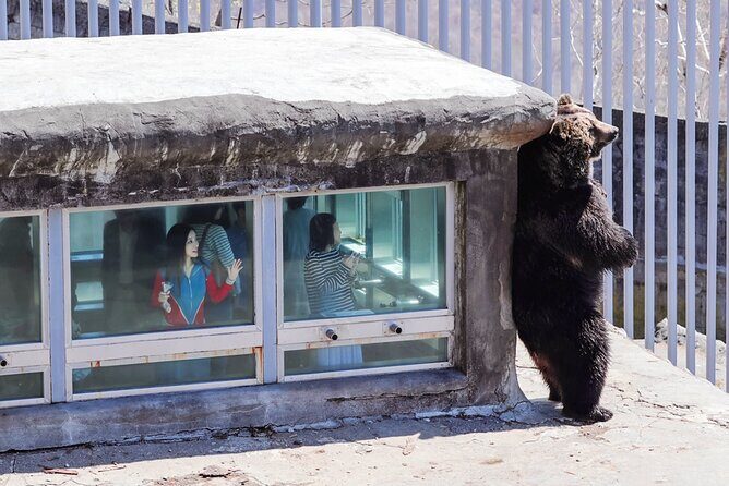 Noboribetsu Lake Toya and Sapporo Otaru Full Day Tour - FAQs