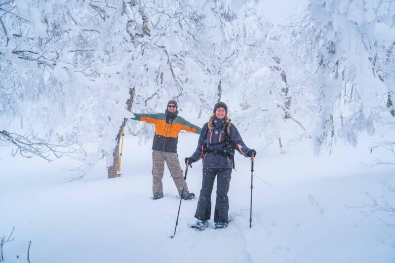 Noboribetsu: Orofure Pass Snowshoeing Tour - Introduction