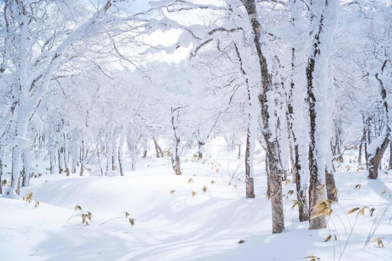 Noboribetsu: Orofure Pass Snowshoeing Tour - Exploring Orofure Pass: The Heart of the Experience