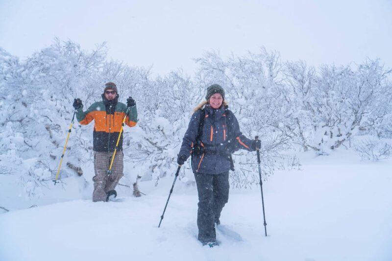 Noboribetsu: Orofure Pass Snowshoeing Tour - The Experience: Authentic, Adventurous, and Scenic