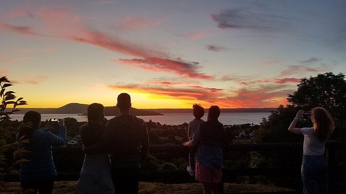 Nocturnal adventure Glow-worm tour - The Full Itinerary