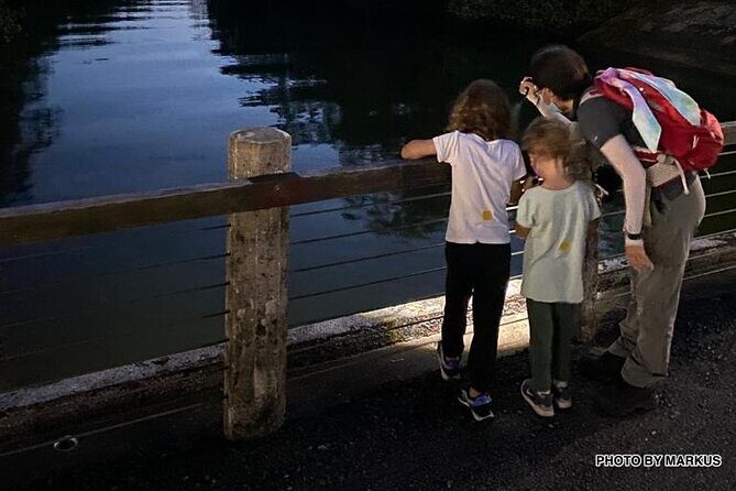 Nocturnal Secrets: A Mangrove Adventure - FAQ