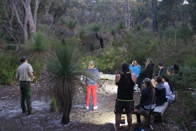Nocturnal Wildlife Tour from Busselton or Dunsborough - Key Points