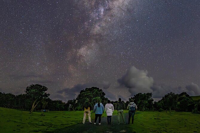 Nocturnal Wonders Tawharanui Kiwi Spotting and Stargazing Tour - An In-Depth Look at the Tawharanui Nocturnal Experience