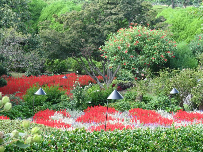 Nokonoshima Island Park: Garden Tour & Wagyu BBQ Lunch - Discovering Nokonoshima Island Park: Garden Tour & Wagyu BBQ Lunch