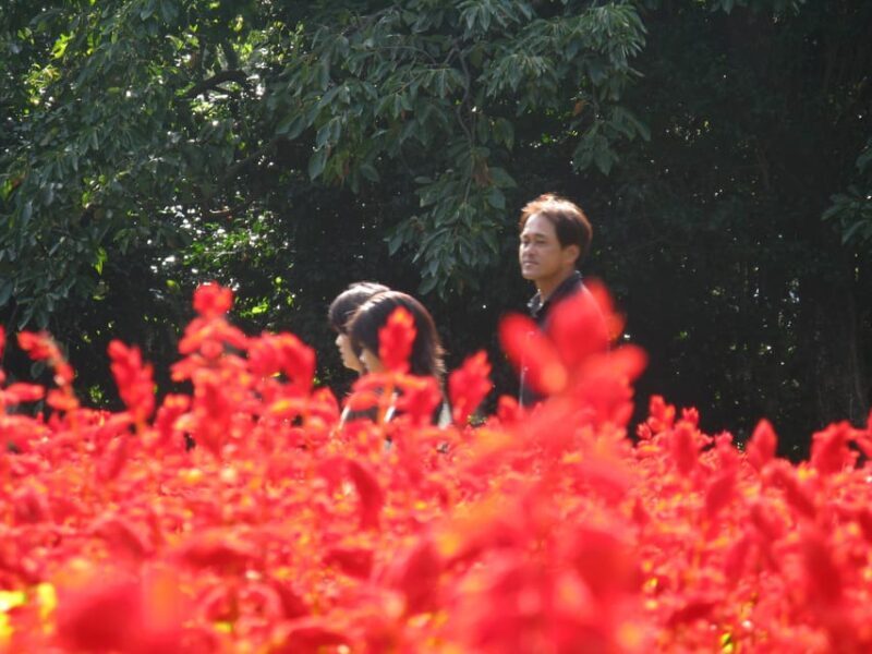 Nokonoshima Island Park: Garden Tour & Wagyu BBQ Lunch - Key Points