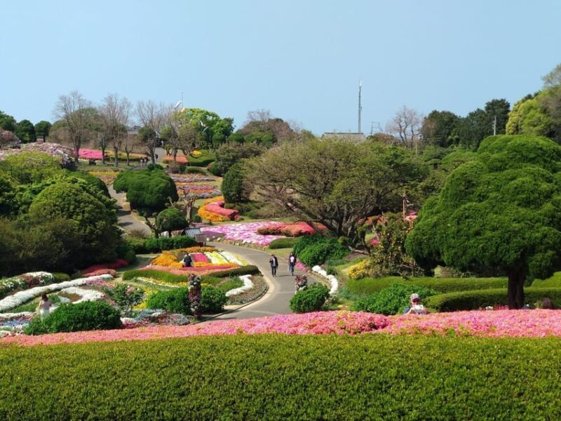 Nokonoshima Island Park: Garden Tour & Wagyu BBQ Lunch - Impressions of the Garden and Views
