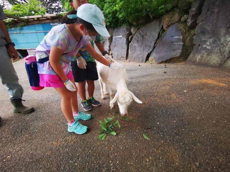 Nokonoshima Island Park: Garden Tour & Wagyu BBQ Lunch - What’s Not Included