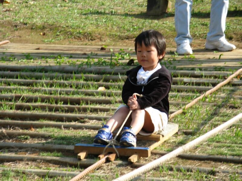 Nokonoshima Island Park: Garden Tour & Wagyu BBQ Lunch - Final Thoughts: Who’s This Tour For?