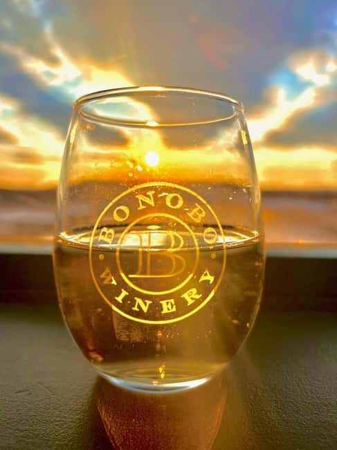 NON BUS 3 Winery Old Mission Peninsula Sunset Wine Tour - An Elegant Alternative to Party Buses: The Experience Overview
