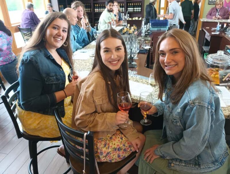 NON BUS 3 Winery Old Mission Peninsula Sunset Wine Tour - Additional Practical Details