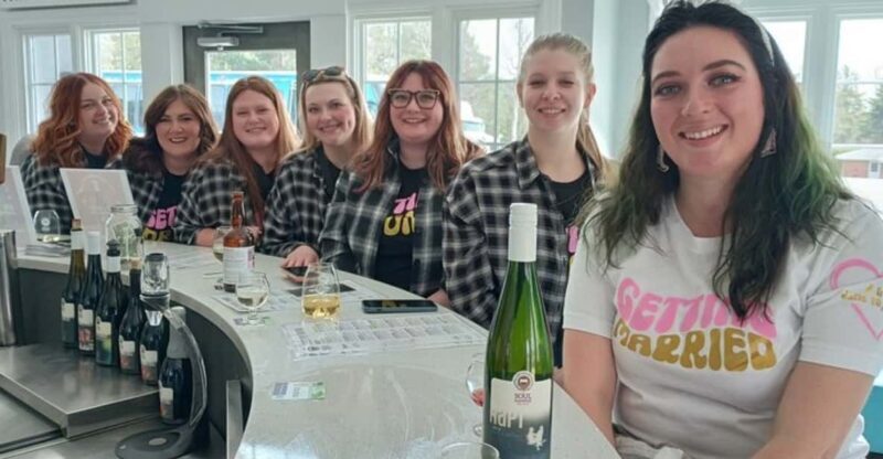 NON BUS Andie's VIP Traverse / Leelanau Peninsula Wine Tour - Breaking Down the Value: Cost and What You Get
