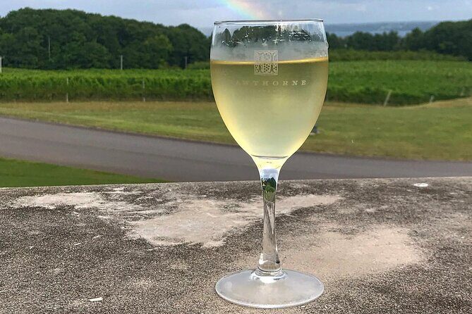 NON BUS Birthday Old Mission Peninsula Wine Tour - Final Thoughts: Is It Worth It?