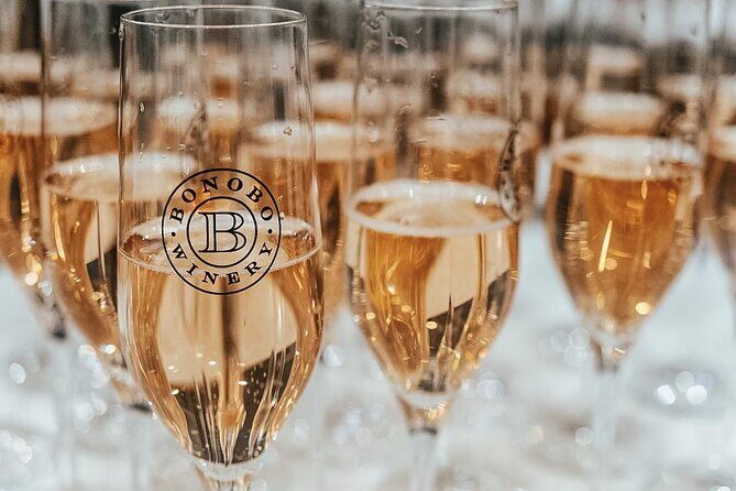 NON BUS Champagne Wine Tour in Traverse City Shared Experience - The Experience: From Pick-up to Pouring