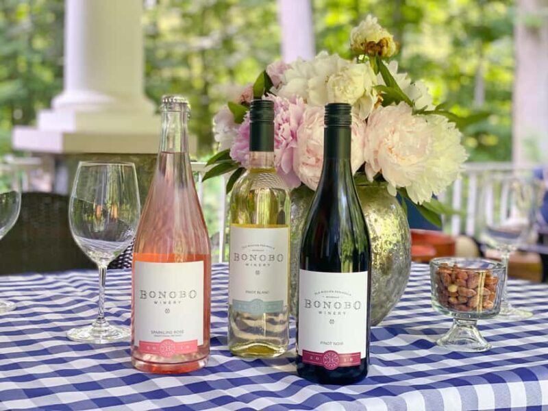 NON BUS Sunday Funday Traverse City Old Mission Wine Tour - The Sum Up