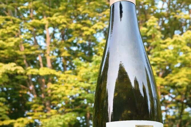 NON BUS Traverse City Fine Red Wine Tasting Tour - The Sum Up