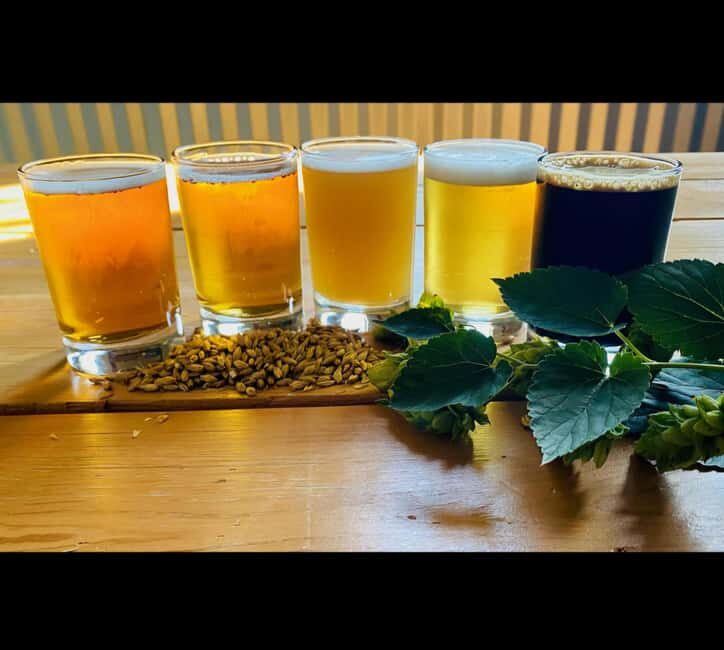 NON BUS Traverse City IPA, Beer, Distillery and Wine Tour - A Closer Look at the Tour Experience