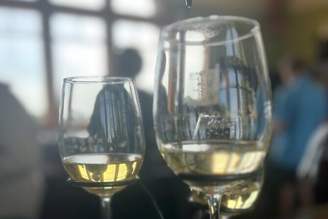 NON BUS Traverse Sunset Wine Tour 3 Winery Old Mission Peninsula - The Sum Up: Who Will Love This Experience?