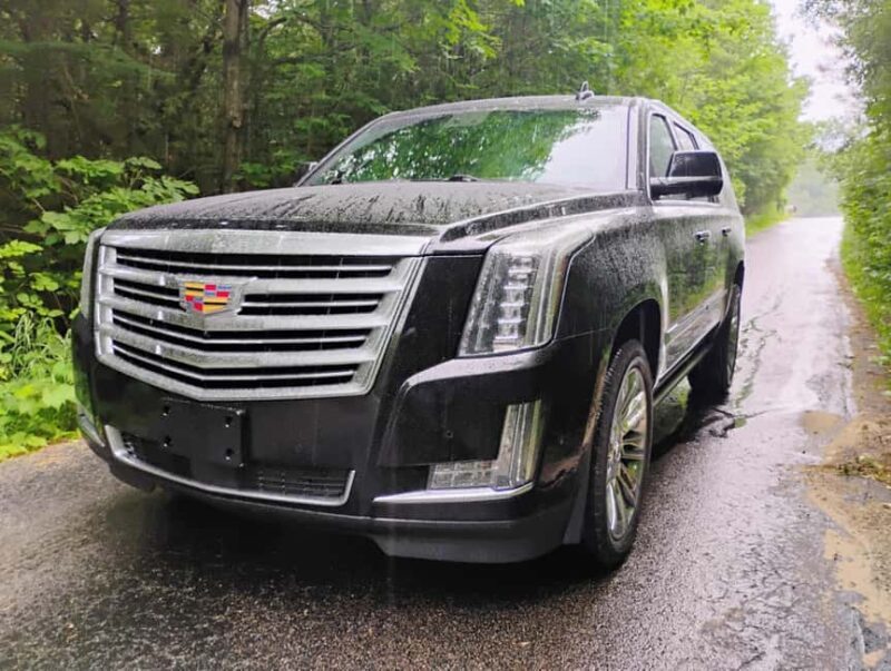 NON BUS VIP Cadillac Escalade Old Mission Traverse Wine Tour - Authenticity and Expert Guidance