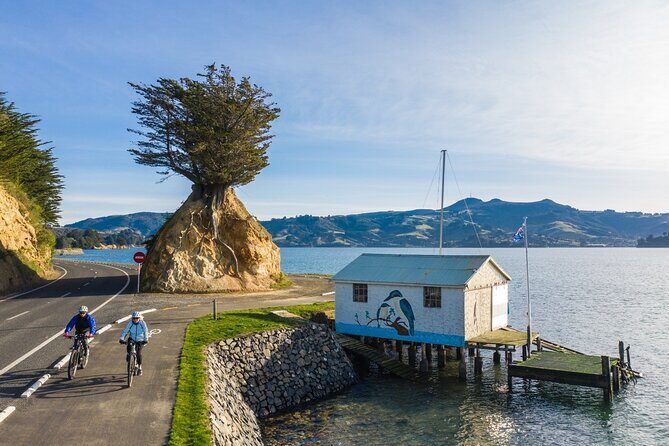 Non-Electric Bike Rental - Who Will Love This Experience?