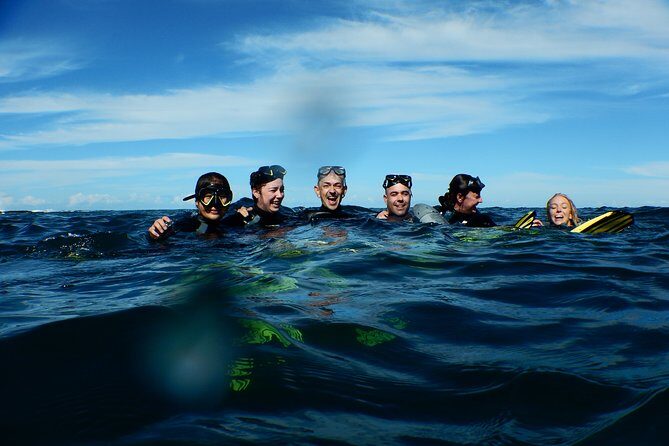 Non Swimmers Discovery Tour ocean - The Itinerary: A Close and Personal Marine Encounter