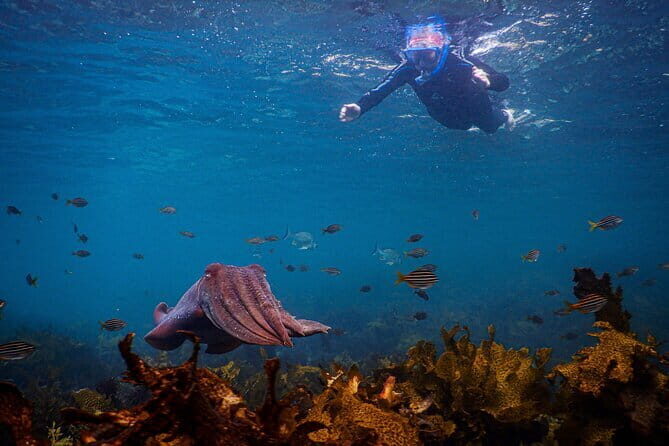 Non Swimmers Discovery Tour ocean - Who Should Book This Tour?