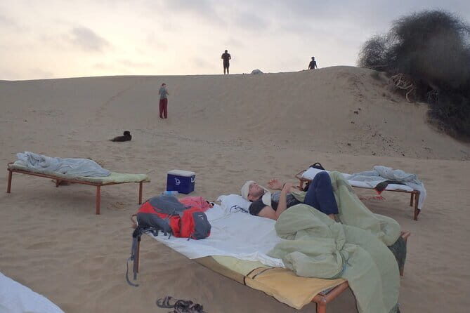 Non Tourist Desert Camel Safari And Night Stay Under The Stars - An In-Depth Look at the Experience
