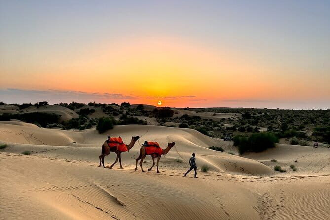 Non Tourist Desert Camel Safari And Night Stay Under The Stars - Practical Tips for Making the Most of Your Visit