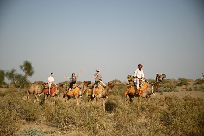 Non-Touristic Overnight Camel Safari with Stargazing Hidden Tour In Desert - An Honest Look at the Non-Touristic Overnight Camel Safari in Jaisalmer’s Desert