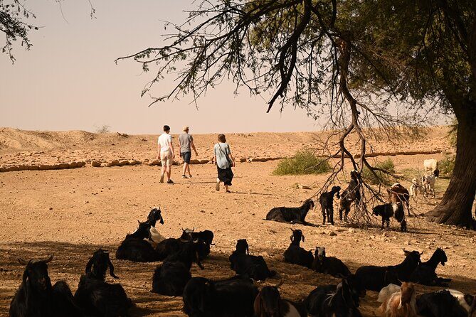 Non-Touristic Overnight Camel Safari with Stargazing Hidden Tour In Desert - Practical Information & Tips