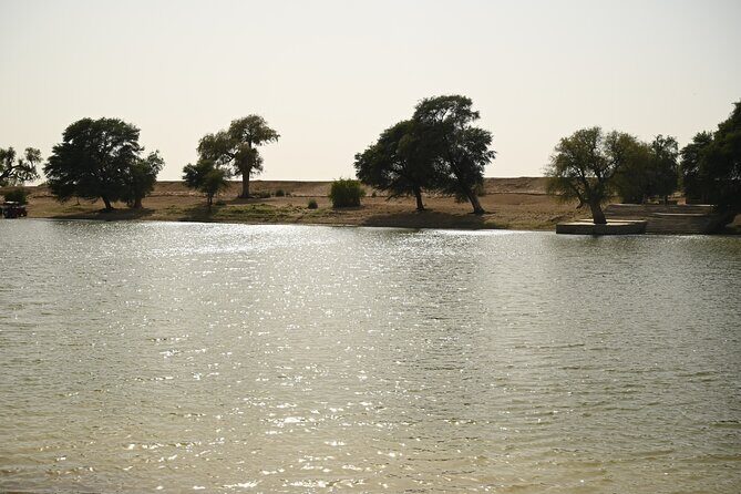 Non-Touristic Overnight Camel Safari with Stargazing Hidden Tour In Desert - Final Thoughts