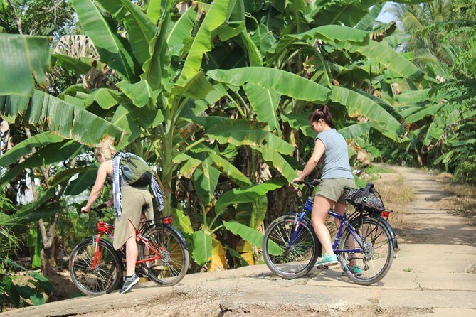 Non Touristy - Mekong Delta 1 Day With Biking - Transportation and Logistics: What to Expect