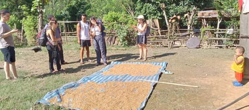 Nong khiaw: 1 Day easy trek visits 3 minority Lao+Hmong&Khmu - FAQ