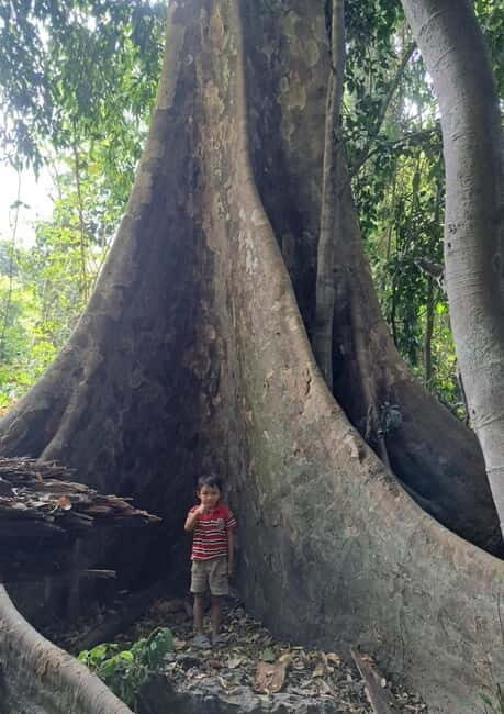 Nong Khiaw: Discover Hmong Village & Muangnoi - Who Will Love This Tour?