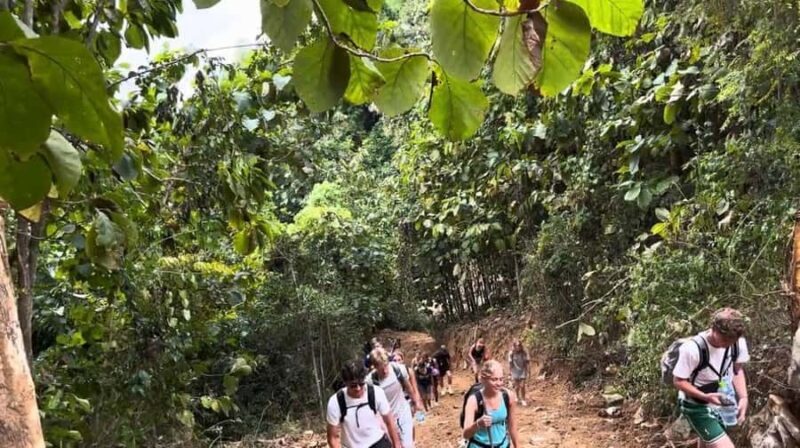 Nong khiaw: Trekking To Camping Above The Clouds - Who will love this tour?