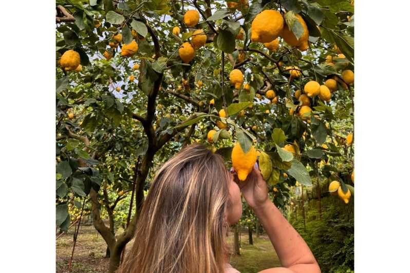 Nonno Mario Lemon Tour - Key Points